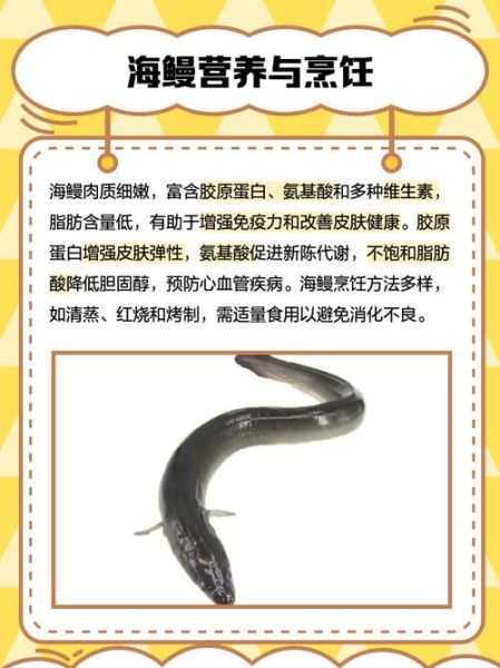 海鳗社区是什么_海鳗社区怎么用-第1张图片-山城妙识 海鳗社区是什么_海鳗社区怎么用-第1张图片-山城妙识