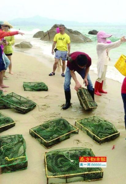 海鳗社区是什么_海鳗社区怎么用-第2张图片-山城妙识 海鳗社区是什么_海鳗社区怎么用-第2张图片-山城妙识