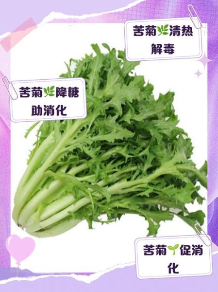 苦菊图片功效与作用_苦菊怎么吃最健康-第2张图片-山城妙识