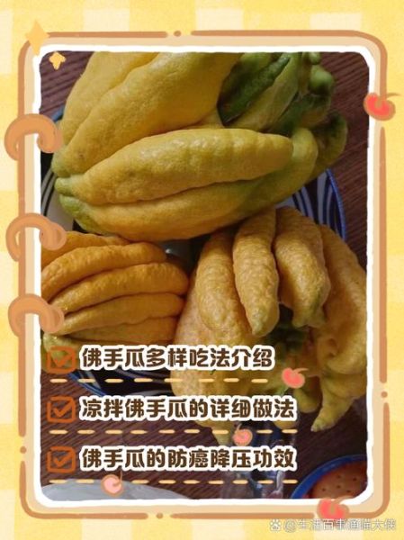 佛手瓜要不要去皮_佛手瓜怎么吃才脆嫩-第1张图片-山城妙识 佛手瓜要不要去皮_佛手瓜怎么吃才脆嫩-第1张图片-山城妙识