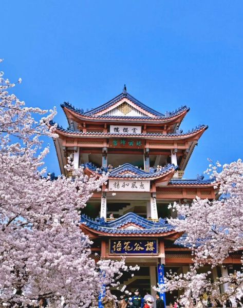 无锡旅游景点推荐_无锡必去景点有哪些-第3张图片-山城妙识 无锡旅游景点推荐_无锡必去景点有哪些-第3张图片-山城妙识