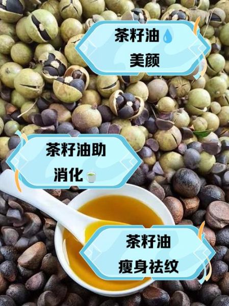 茶籽油怎么吃_茶籽油适合哪些烹饪方式-第1张图片-山城妙识 茶籽油怎么吃_茶籽油适合哪些烹饪方式-第1张图片-山城妙识