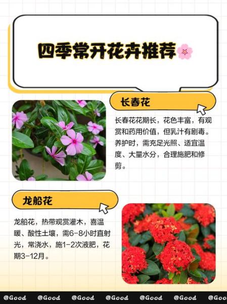 十大最漂亮的花有哪些_如何养护才能四季常开-第1张图片-山城妙识