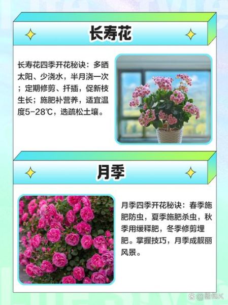 十大最漂亮的花有哪些_如何养护才能四季常开-第2张图片-山城妙识