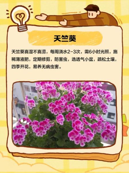 十大最漂亮的花有哪些_如何养护才能四季常开-第3张图片-山城妙识