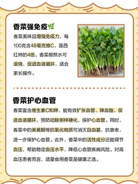 香菜的功效与作用_香菜怎么吃最好-第2张图片-山城妙识