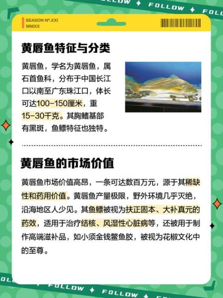 黄唇鱼鳔多少钱一斤_黄唇鱼鳔有什么功效-第2张图片-山城妙识 黄唇鱼鳔多少钱一斤_黄唇鱼鳔有什么功效-第2张图片-山城妙识