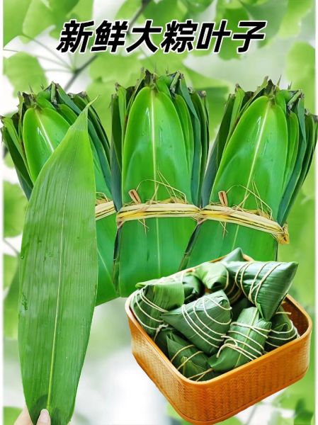 粽子叶的营养价值_粽子叶的功效与作用-第1张图片-山城妙识 粽子叶的营养价值_粽子叶的功效与作用-第1张图片-山城妙识