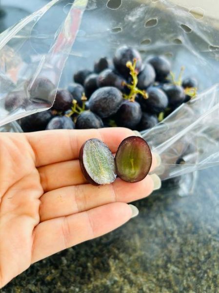 黑加仑吃多了的副作用_一天吃多少算过量-第1张图片-山城妙识