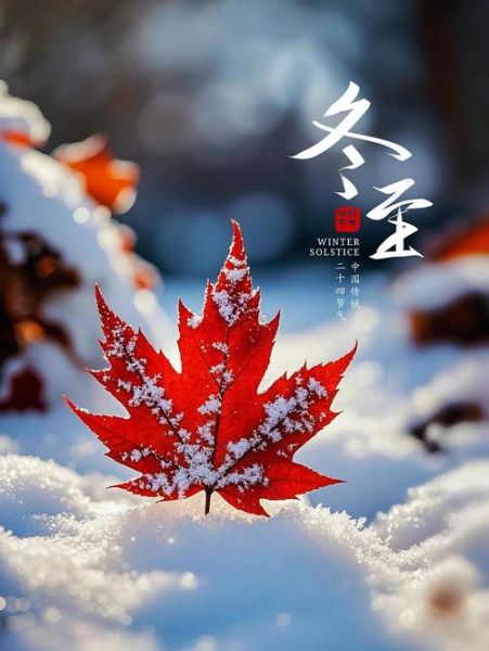 冬至饺子图片唯美_冬至为什么要吃饺子-第3张图片-山城妙识