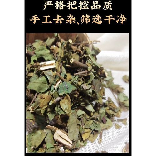 鲫鱼胆草药的功效与作用_鲫鱼胆草药怎么用-第2张图片-山城妙识 鲫鱼胆草药的功效与作用_鲫鱼胆草药怎么用-第2张图片-山城妙识