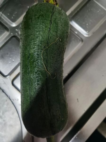 素丸子汤怎么做_素丸子汤的家常做法-第2张图片-山城妙识 素丸子汤怎么做_素丸子汤的家常做法-第2张图片-山城妙识