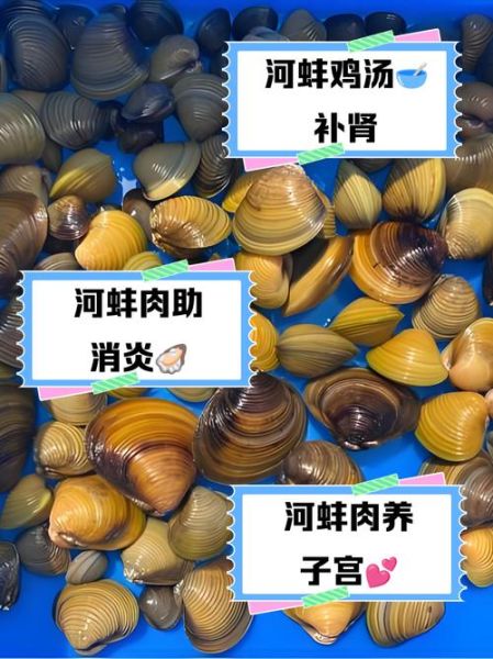 野生小河蚌能吃吗_野生小河蚌怎么处理-第1张图片-山城妙识 野生小河蚌能吃吗_野生小河蚌怎么处理-第1张图片-山城妙识