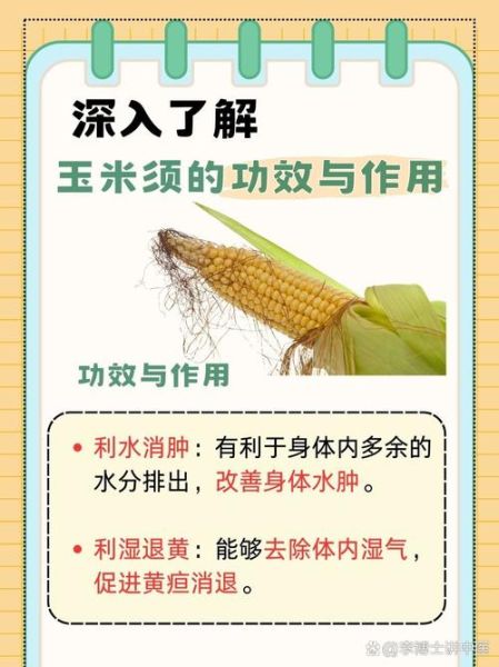 玉米须的功效与作用_玉米须的禁忌人群有哪些-第3张图片-山城妙识