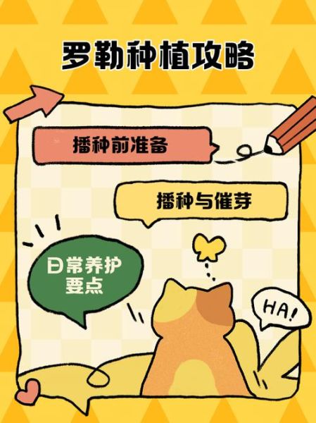 罗勒怎么种_罗勒种植方法-第1张图片-山城妙识 罗勒怎么种_罗勒种植方法-第1张图片-山城妙识