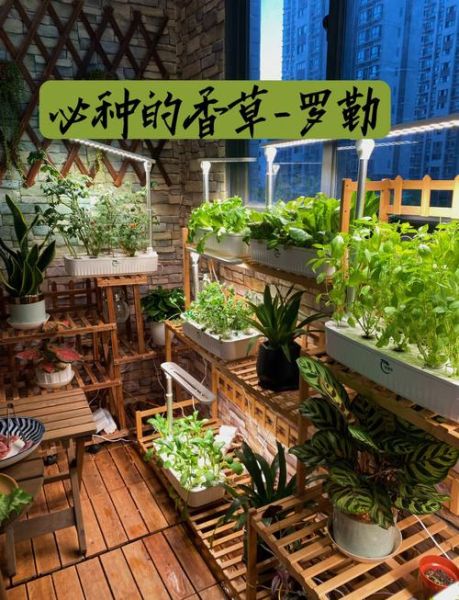 罗勒怎么种_罗勒种植方法-第2张图片-山城妙识 罗勒怎么种_罗勒种植方法-第2张图片-山城妙识