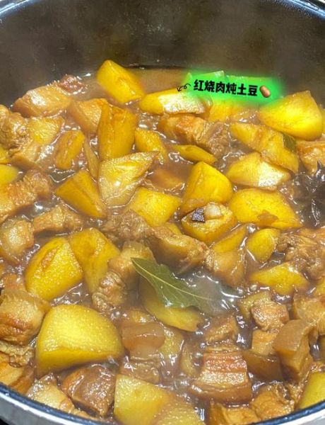 红烧肉烧土豆怎么做_红烧肉烧土豆的家常做法-第1张图片-山城妙识