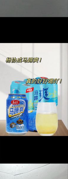 马蹄爽饮料有什么功效_马蹄爽饮料的作用与禁忌-第1张图片-山城妙识