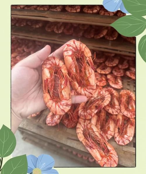 虾干怎么保存不变色_虾干和鲜虾营养区别-第3张图片-山城妙识 虾干怎么保存不变色_虾干和鲜虾营养区别-第3张图片-山城妙识