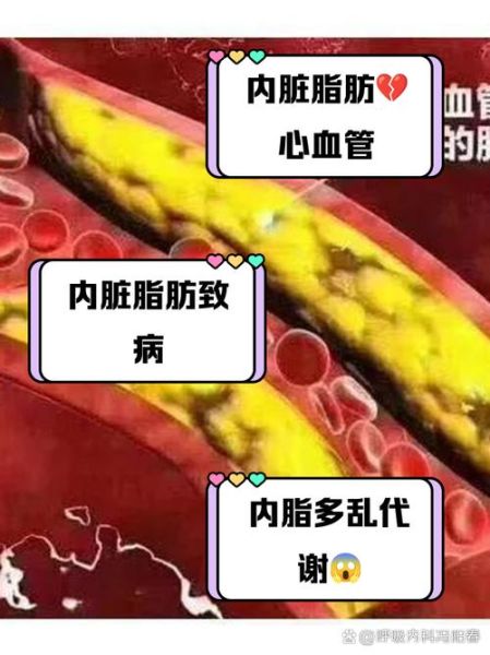 内脂是什么_内脂和内脏脂肪一样吗-第3张图片-山城妙识 内脂是什么_内脂和内脏脂肪一样吗-第3张图片-山城妙识