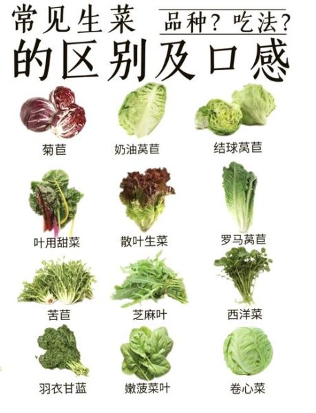 菜品种类大全图有哪些_如何快速看懂-第1张图片-山城妙识 菜品种类大全图有哪些_如何快速看懂-第1张图片-山城妙识