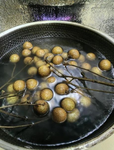 龙眼干怎么制作_龙眼干制作过程详解-第2张图片-山城妙识 龙眼干怎么制作_龙眼干制作过程详解-第2张图片-山城妙识