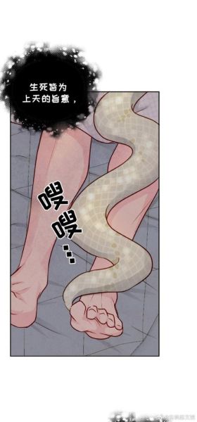 骑蛇难下(双)takira免费阅读_哪里能看完整版-第2张图片-山城妙识 骑蛇难下(双)takira免费阅读_哪里能看完整版-第2张图片-山城妙识