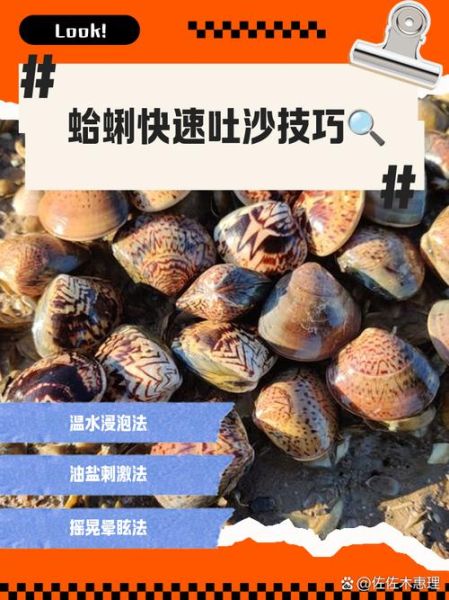 蛤蜊怎么快速吐沙_如何让蛤蜊吐沙干净-第1张图片-山城妙识 蛤蜊怎么快速吐沙_如何让蛤蜊吐沙干净-第1张图片-山城妙识