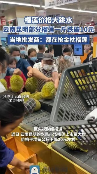 榴莲价格为什么波动大_榴莲多少钱一斤2024-第3张图片-山城妙识
