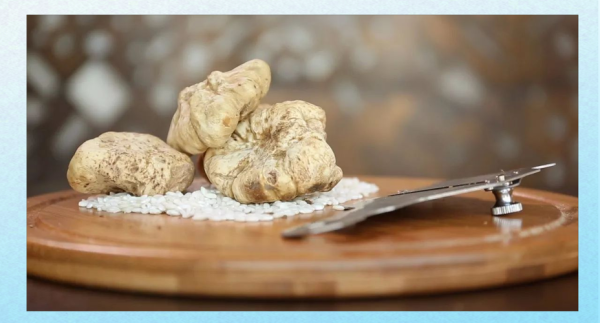 白松露怎么吃_白松露配什么最好吃-第3张图片-山城妙识