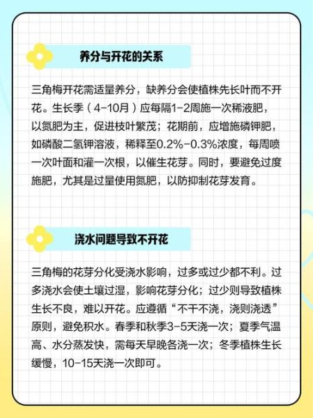 三角梅怎么养才开花_三角梅不开花的原因-第1张图片-山城妙识 三角梅怎么养才开花_三角梅不开花的原因-第1张图片-山城妙识