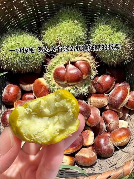 糖水栗子怎么做_糖水栗子要煮多久-第3张图片-山城妙识