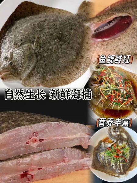 多宝鱼怎么宰杀_多宝鱼宰杀视频教程-第2张图片-山城妙识