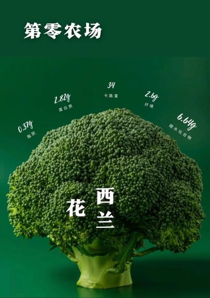西兰花英语怎么说_西兰花怎么读-第3张图片-山城妙识