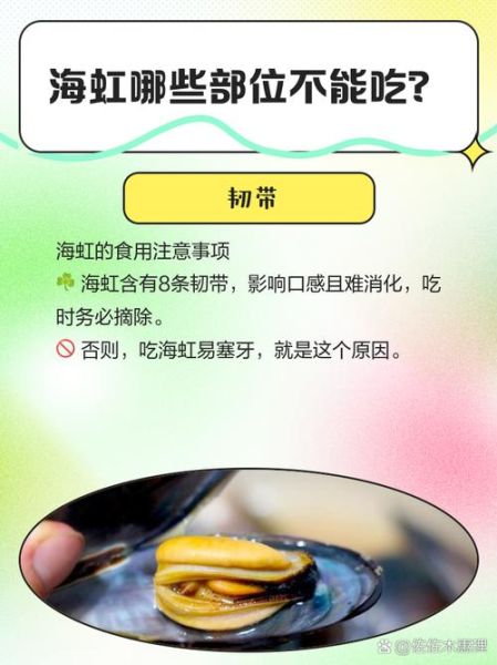 海虹为什么不能吃_2021年禁售原因-第2张图片-山城妙识 海虹为什么不能吃_2021年禁售原因-第2张图片-山城妙识