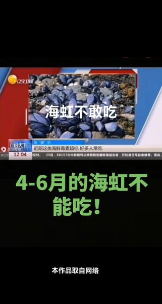 海虹为什么不能吃_2021年禁售原因-第3张图片-山城妙识 海虹为什么不能吃_2021年禁售原因-第3张图片-山城妙识