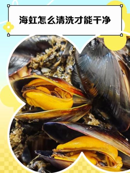 海虹为什么不能吃_2021年禁售原因-第1张图片-山城妙识 海虹为什么不能吃_2021年禁售原因-第1张图片-山城妙识