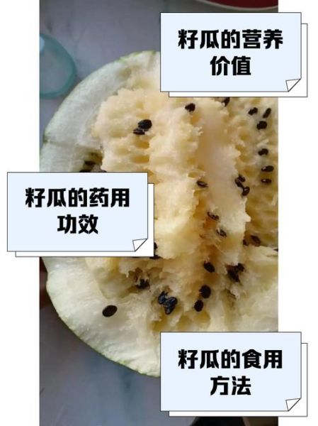 籽瓜热量高吗_籽瓜减肥能吃吗-第1张图片-山城妙识