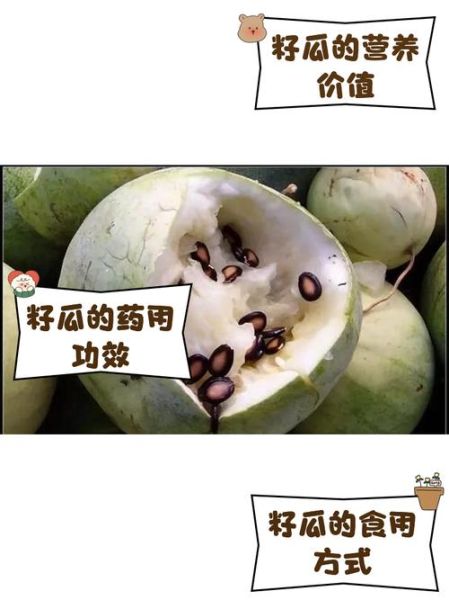 籽瓜热量高吗_籽瓜减肥能吃吗-第2张图片-山城妙识