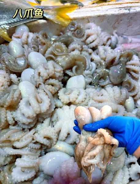 香辣爆头八爪鱼怎么做_八爪鱼爆头要不要焯水-第3张图片-山城妙识 香辣爆头八爪鱼怎么做_八爪鱼爆头要不要焯水-第3张图片-山城妙识