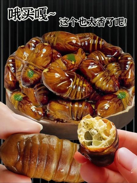 蚕蛹煮多长时间最好_蚕蛹煮多久能熟-第2张图片-山城妙识 蚕蛹煮多长时间最好_蚕蛹煮多久能熟-第2张图片-山城妙识