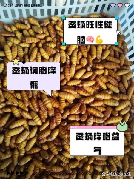 蚕蛹煮多长时间最好_蚕蛹煮多久能熟-第3张图片-山城妙识 蚕蛹煮多长时间最好_蚕蛹煮多久能熟-第3张图片-山城妙识