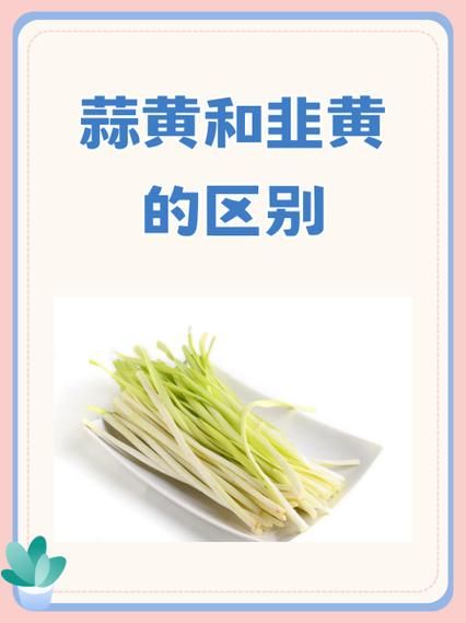 韭黄和蒜黄的区别_哪个更有营养-第1张图片-山城妙识 韭黄和蒜黄的区别_哪个更有营养-第1张图片-山城妙识