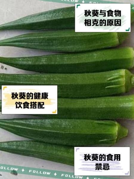 秋葵与什么食物相克_秋葵不能和什么一起吃-第2张图片-山城妙识 秋葵与什么食物相克_秋葵不能和什么一起吃-第2张图片-山城妙识
