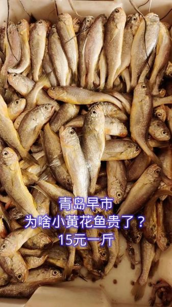 小黄鱼多少钱一斤_小黄鱼价格走势-第3张图片-山城妙识 小黄鱼多少钱一斤_小黄鱼价格走势-第3张图片-山城妙识