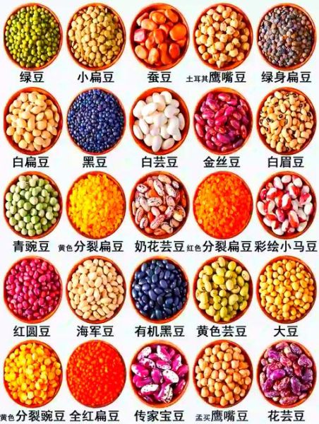 豆的种类有哪些_豆的图片大全怎么找-第1张图片-山城妙识 豆的种类有哪些_豆的图片大全怎么找-第1张图片-山城妙识