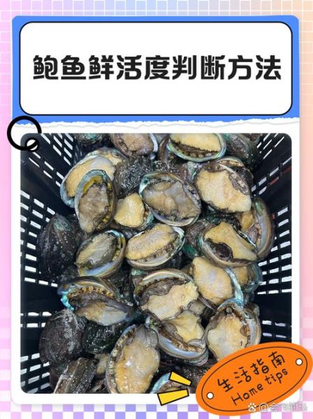 鲍鱼蒸几分钟口感好_如何判断熟度-第2张图片-山城妙识 鲍鱼蒸几分钟口感好_如何判断熟度-第2张图片-山城妙识