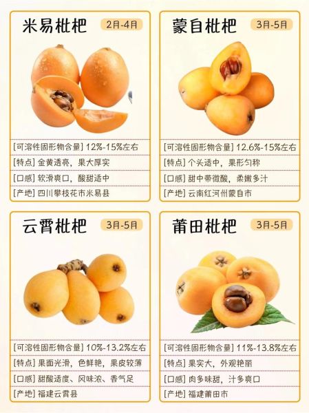 枇杷果多少钱一斤_枇杷价格行情-第2张图片-山城妙识