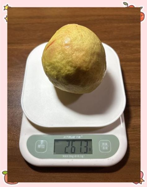 芭乐汁怎么做_芭乐汁热量高吗-第1张图片-山城妙识 芭乐汁怎么做_芭乐汁热量高吗-第1张图片-山城妙识