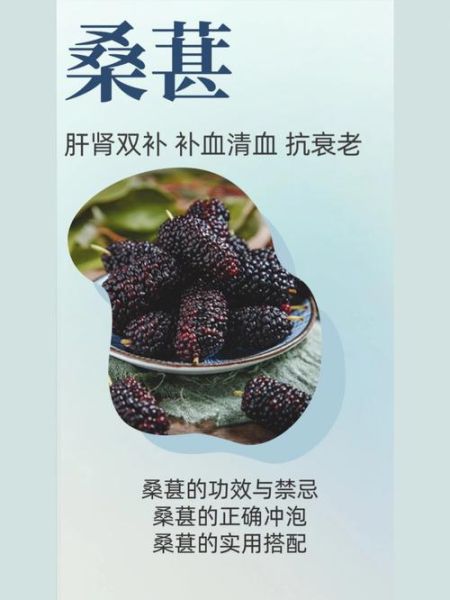 桑椹的功效与作用_桑椹怎么吃最养肝肾-第2张图片-山城妙识 桑椹的功效与作用_桑椹怎么吃最养肝肾-第2张图片-山城妙识